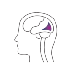 Science fair – Dubai science fair website